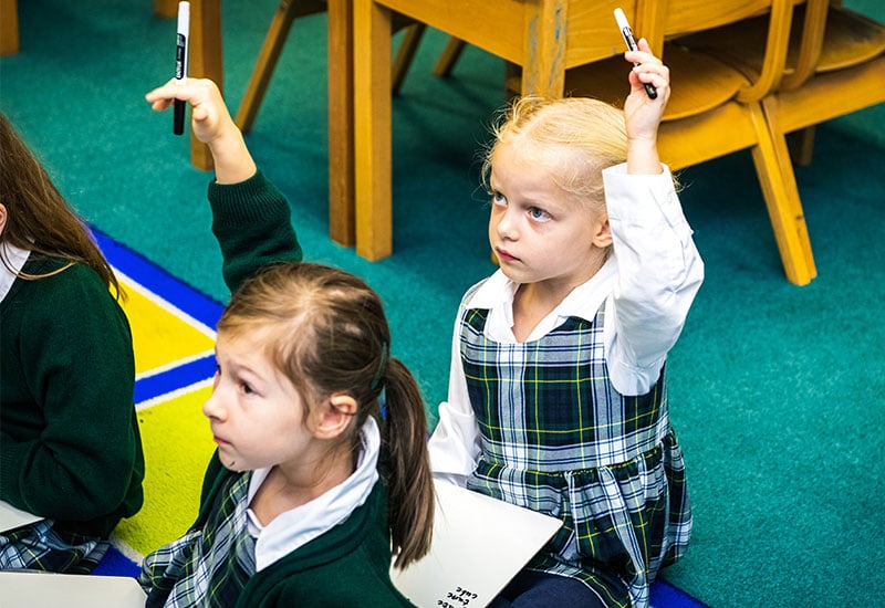 Curriculum